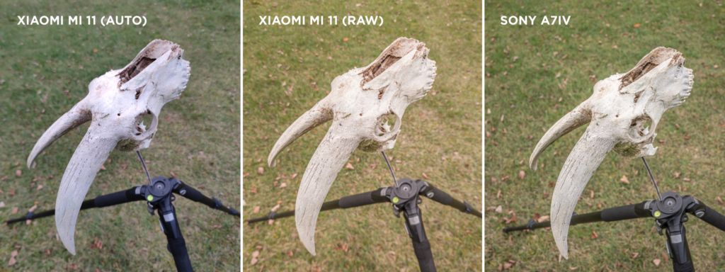 3D Asset Creation With Photogrammetry - The Easy Way